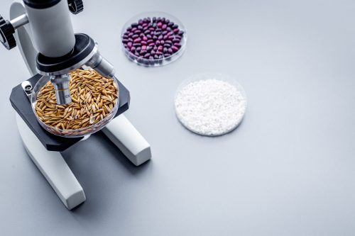 Smurfit Kappa’s MB12 carton is now available for primary packaging ...