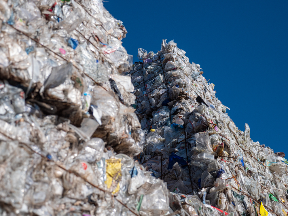 Recycling pioneer Faerch establishes closed loop for PET food packaging ...